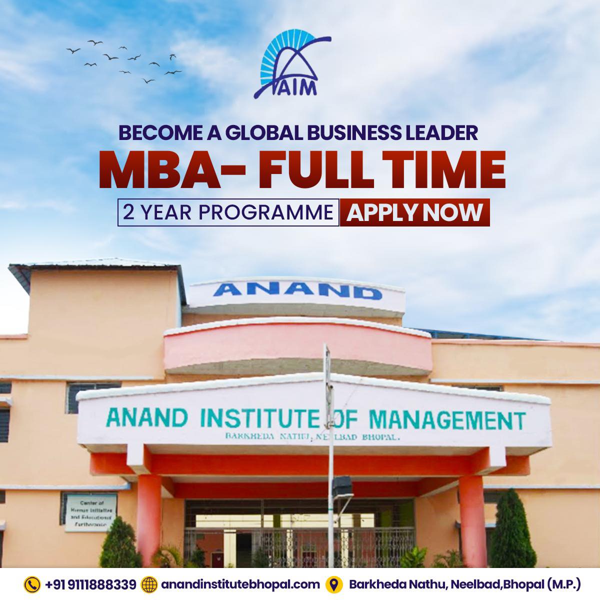 About – Anand Institute of Management